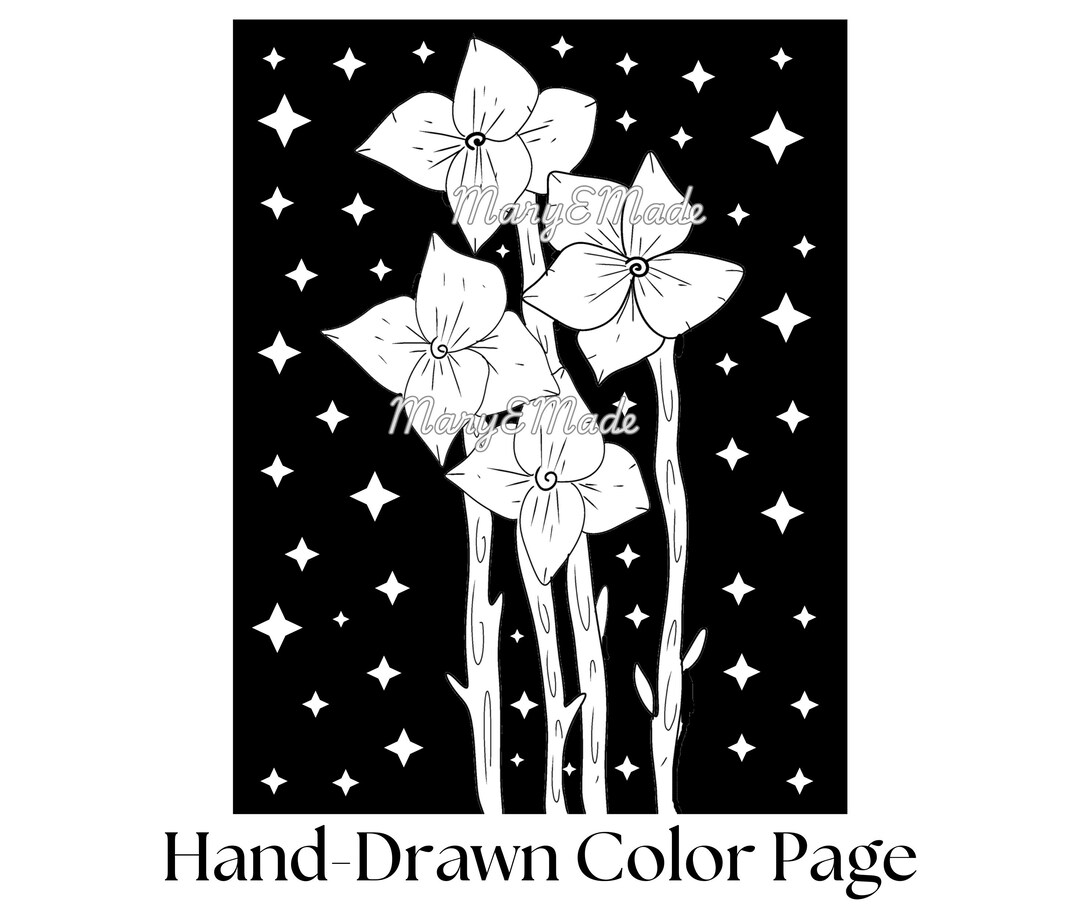 Starry Florals Printable Color Page Original Artwork Not Ai - Etsy
