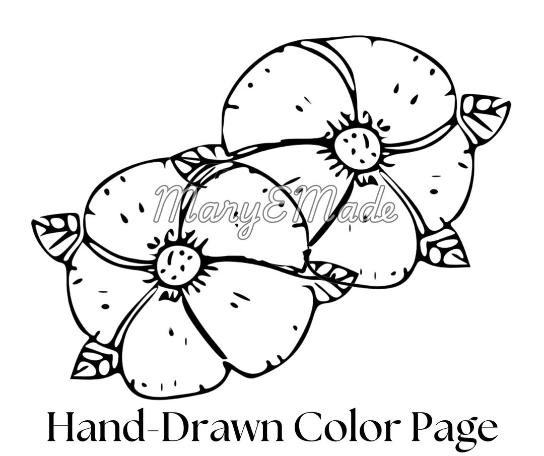 Pretty Twin Florals Printable Color Page Original Artwork Not Ai - Etsy