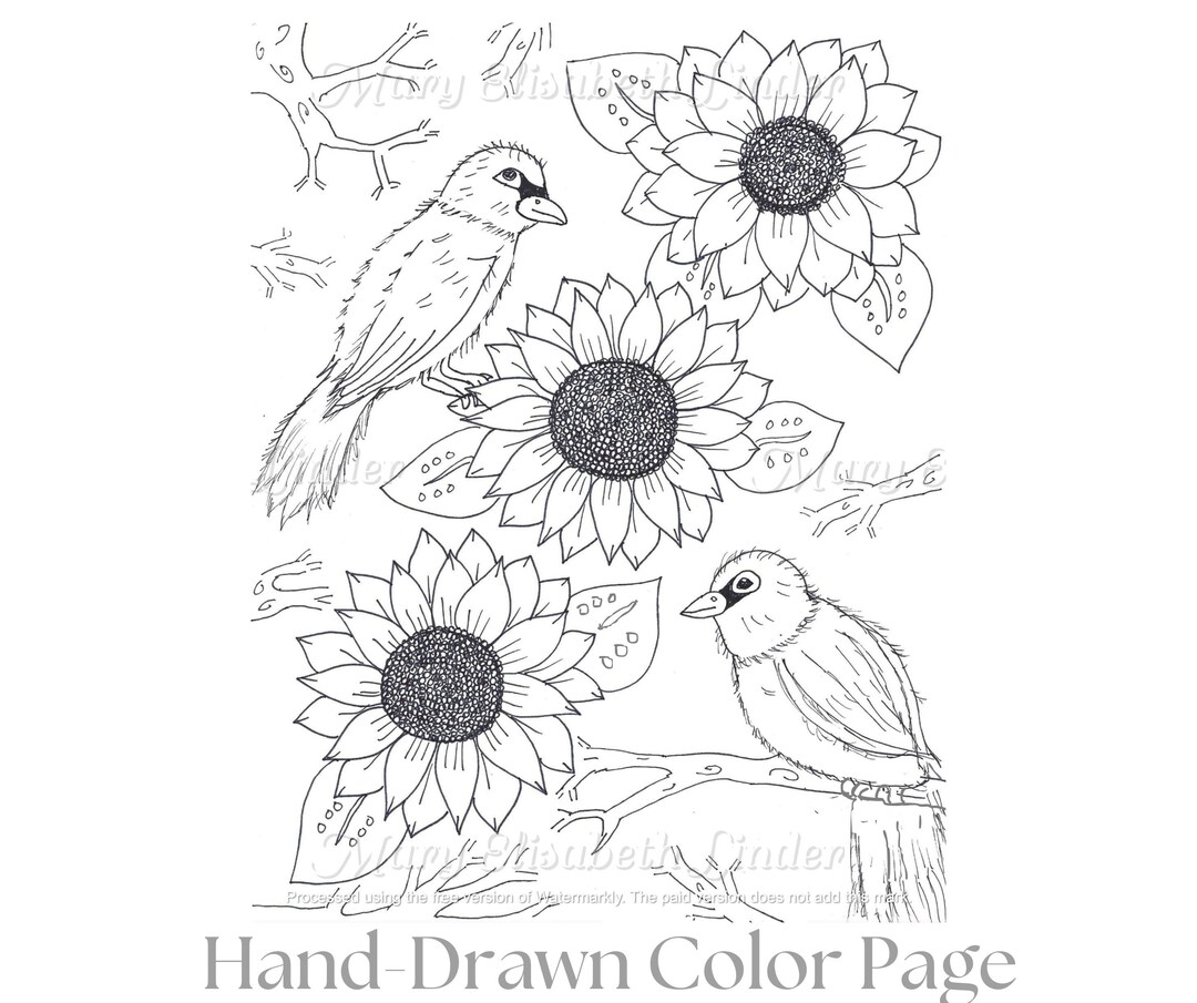 Birds and Sunflowers Printable Color Page Original Artwork Not Ai - Etsy
