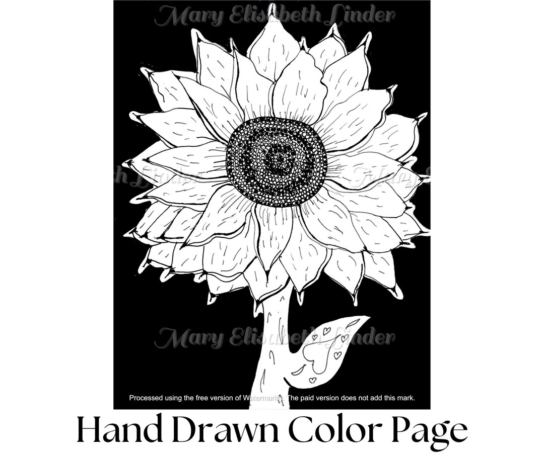 Pretty Sunflower Printable Color Page Original Artwork Not Ai - Etsy