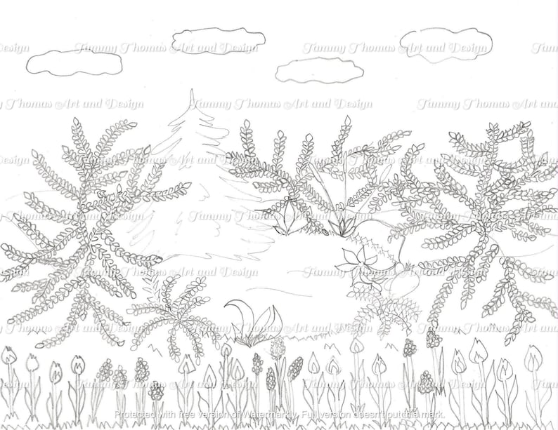 Oasis Color Page Printable Color Page - Etsy Canada