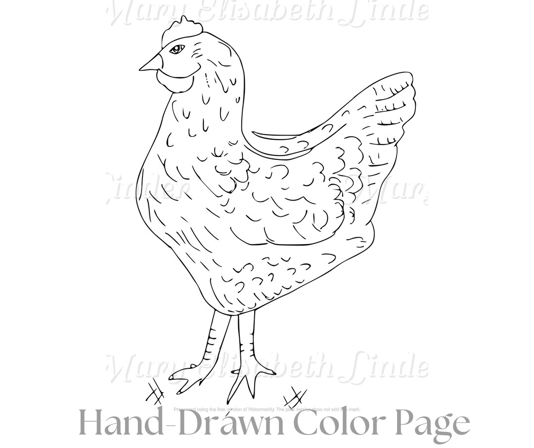 Simply Chicken Printable Color Page Original Artwork Not Ai - Etsy