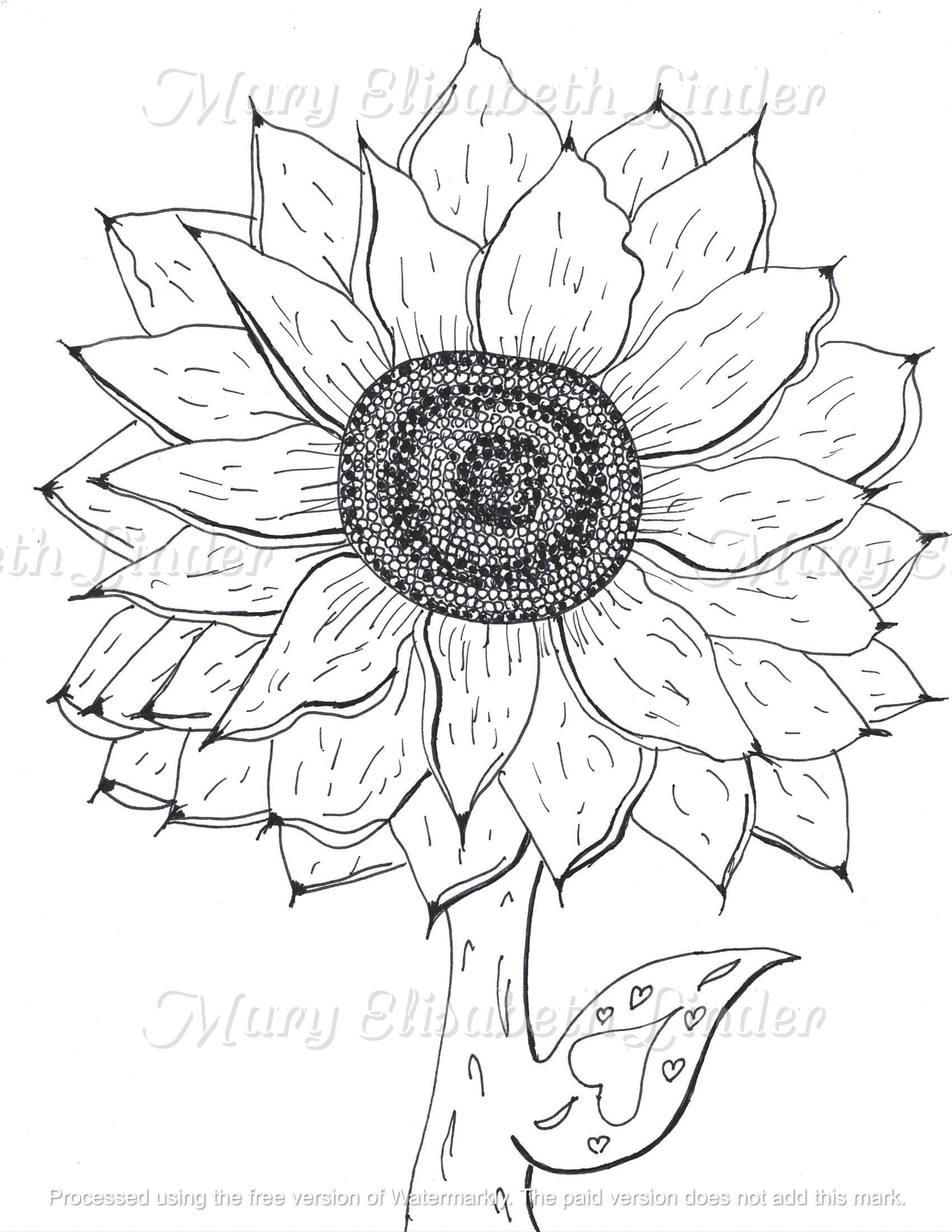 Sunflower Printable Color Page Original Artwork Not Ai - Etsy