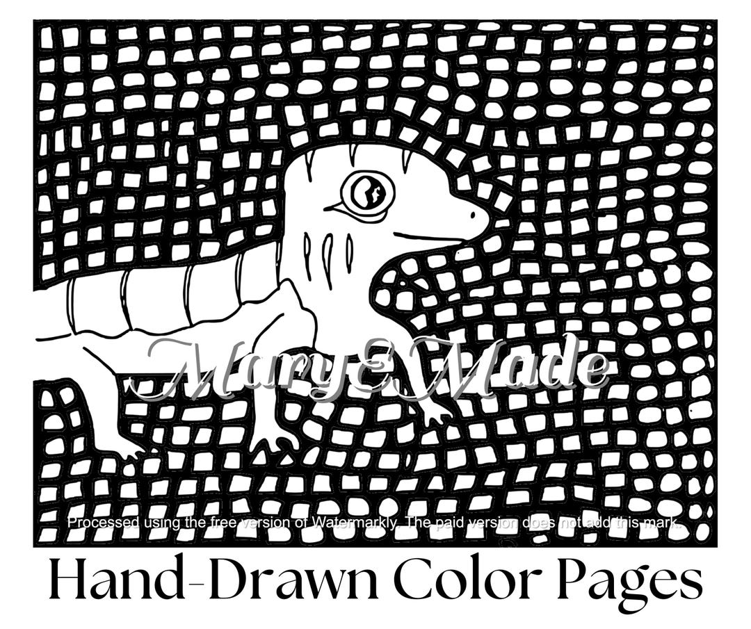 Velvet Checkered Gecko Printable Color Page Original Artwork Not Ai - Etsy