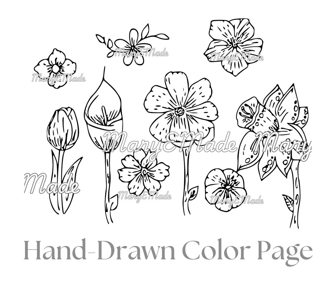 Simply Flowers Printable Color Page Original Artwork Not Ai - Etsy