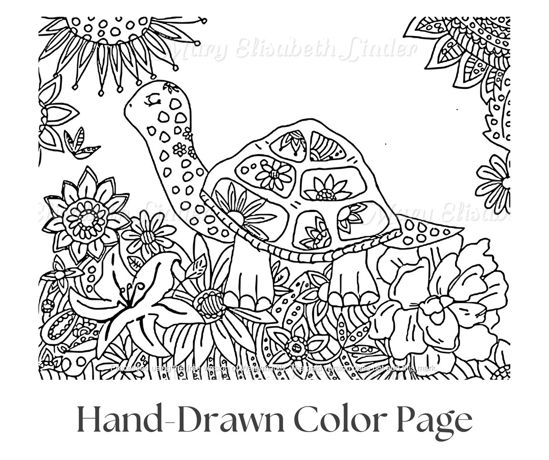 Flower Turtle Printable Color Page Original Artwork Not Ai - Etsy