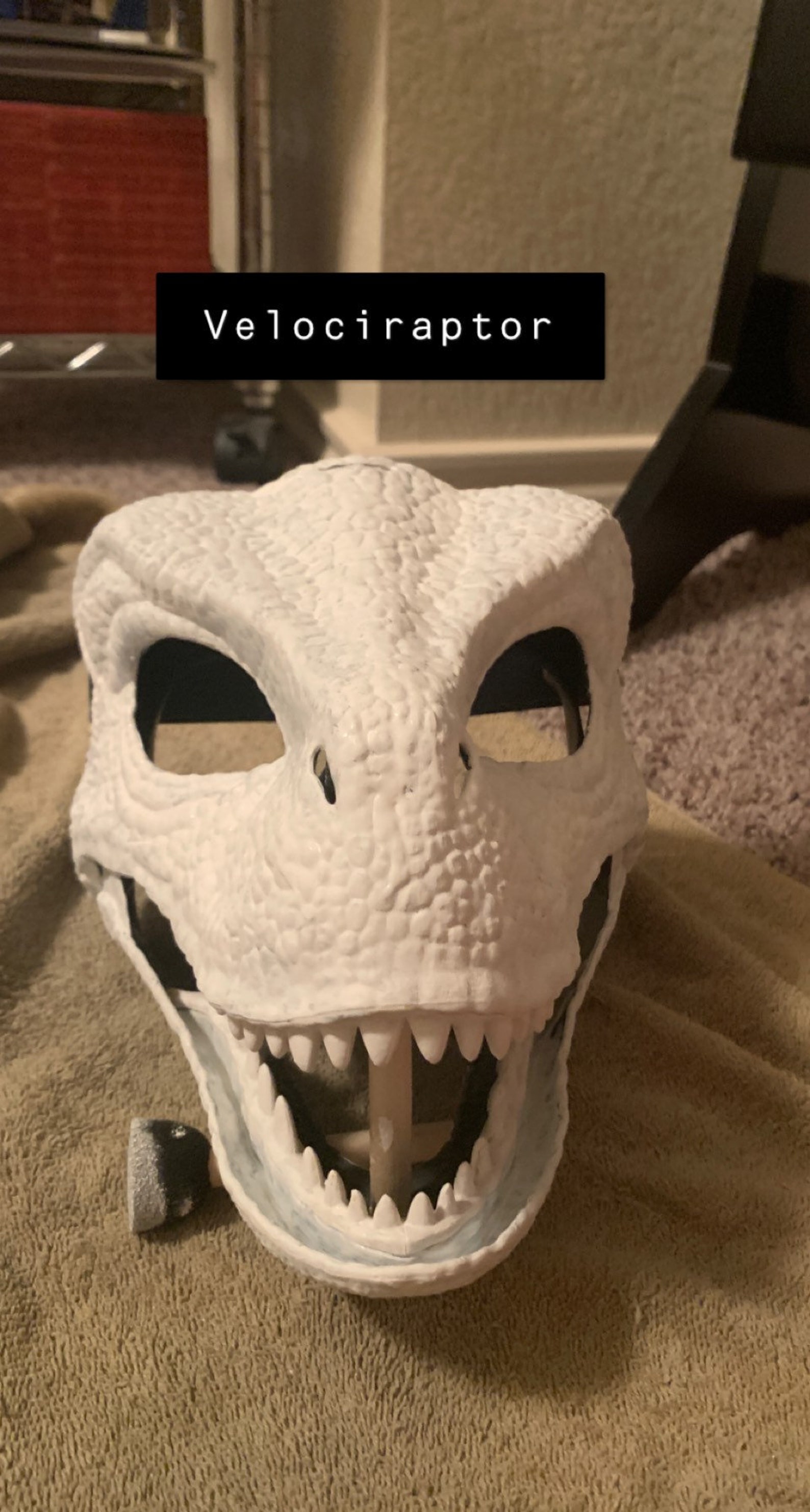 White Base Painted Raptor Dinosaur Velociraptor Mask for Fur - Etsy