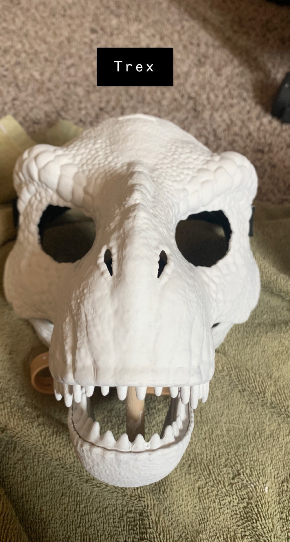 White Base Painted Raptor Dinosaur Velociraptor Mask for Fur - Etsy