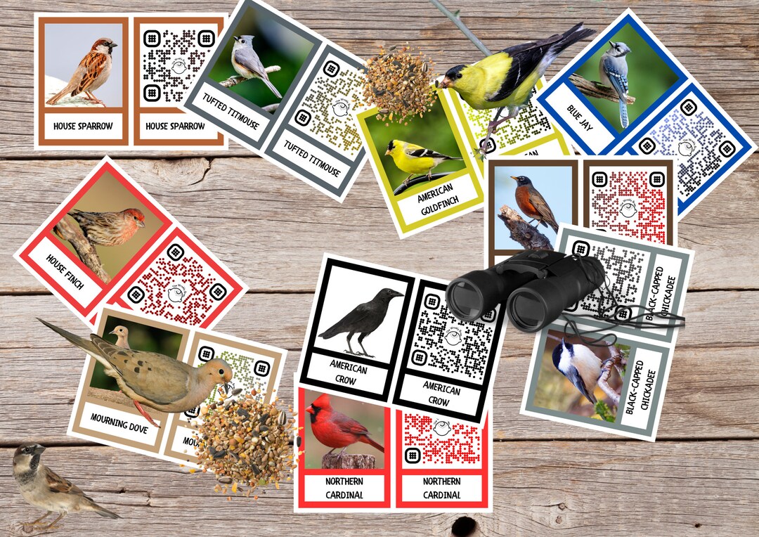 Bird Song Identifier Flashcards, Real Bird Pictures, North American ...