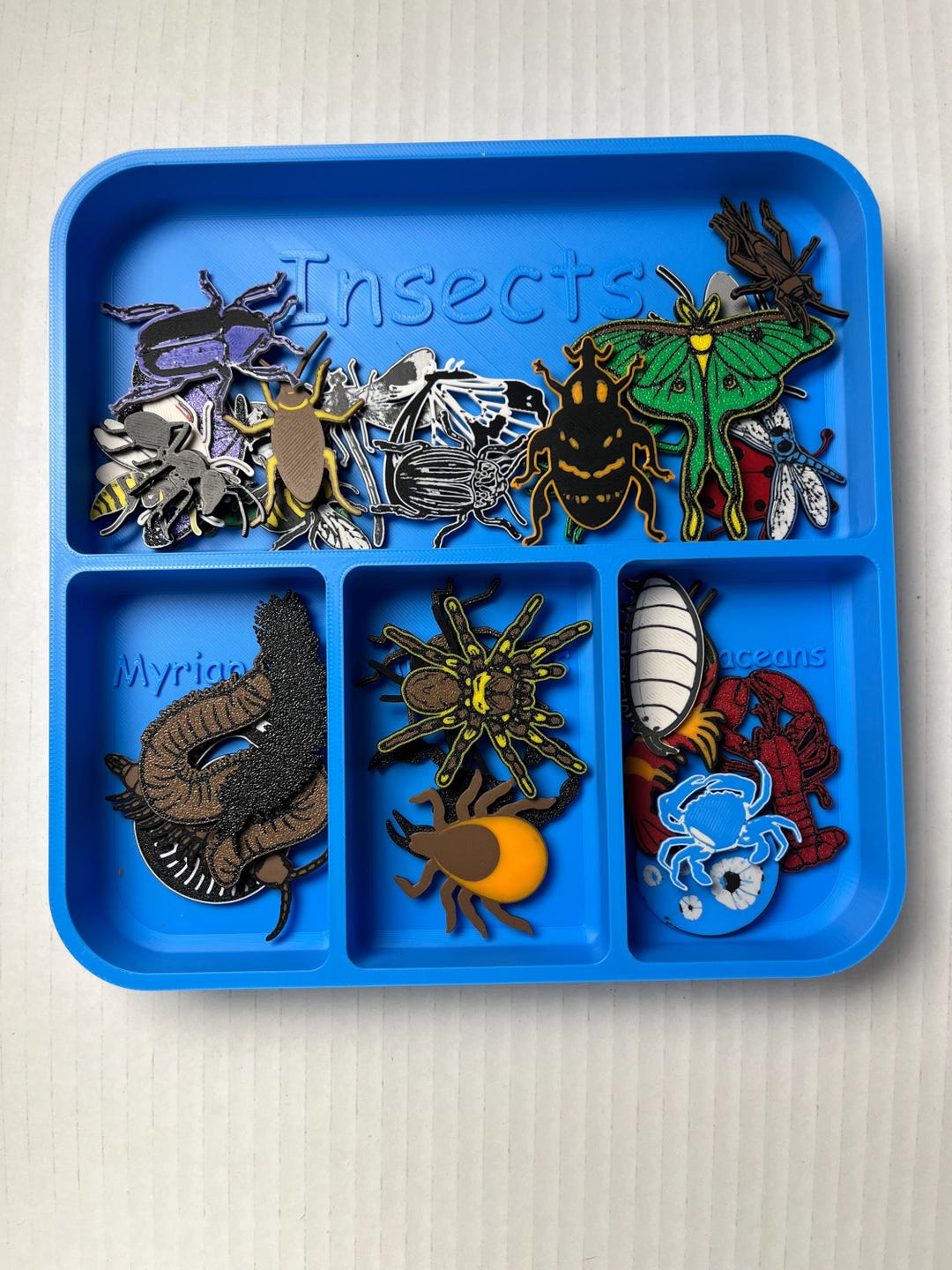 Arthropod Classification Sorting Kit, Science Learning Tray, Bug ...