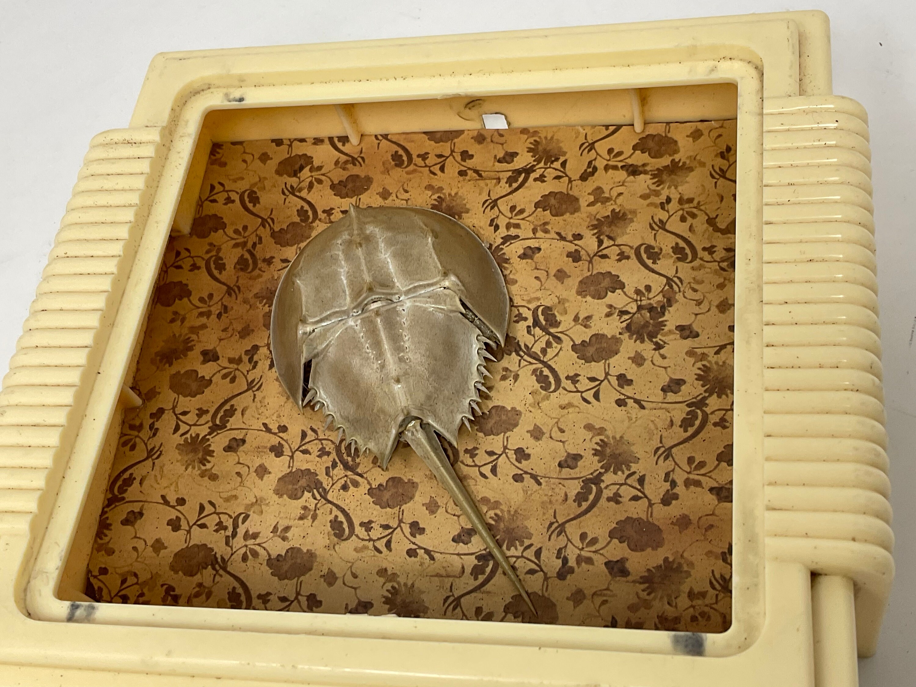 Shadow Box Made From Old Art Deco Clock Case. No Glass. - Etsy