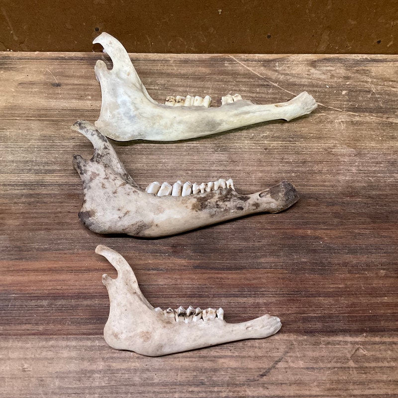 Ethically Sourced - Etsy