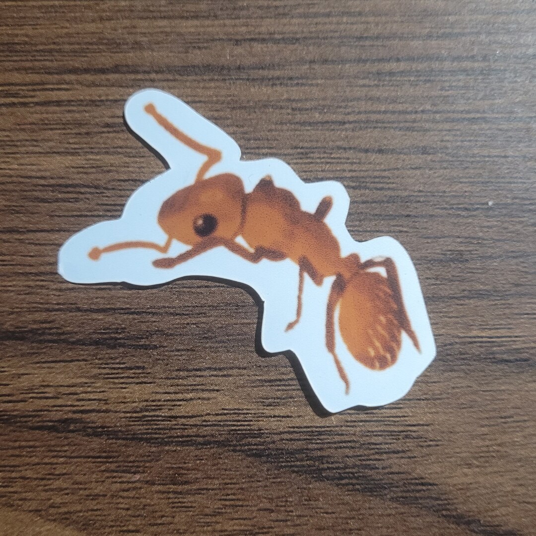 Ant Sticker - Etsy