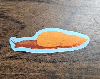 Snail Sticker - Etsy