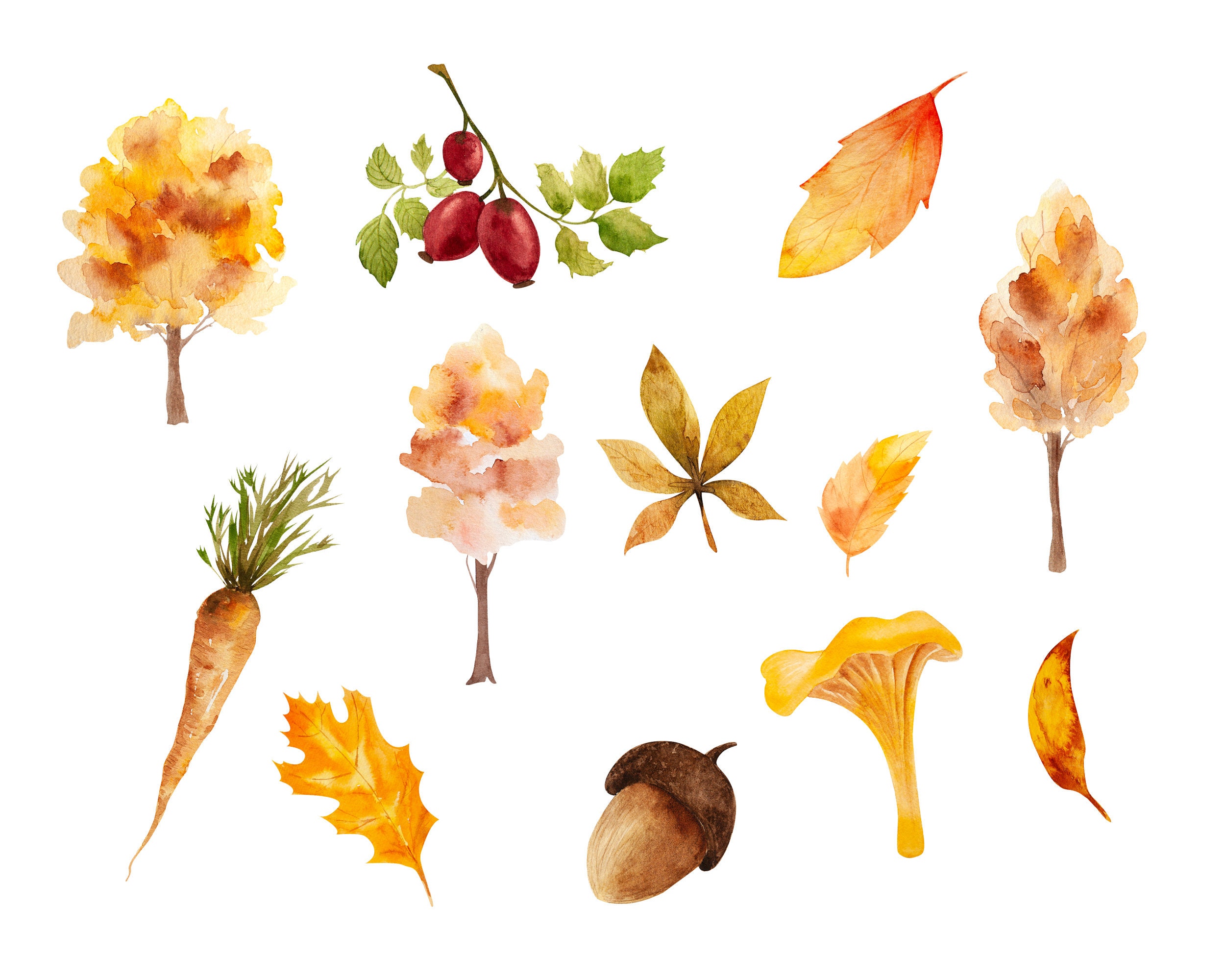 Watercolor Fall Clipart Leaves Clipart Mushroom Pumpkin - Etsy