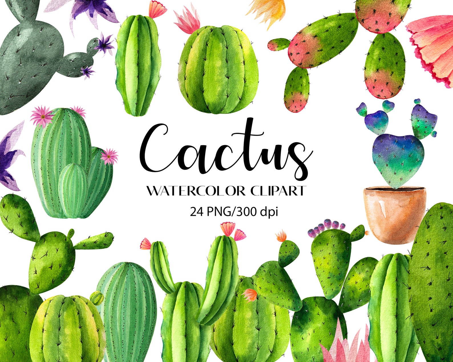 Cactus Clipart, Botanical Greenery Clipart, Cactus Clip Art, Digital ...