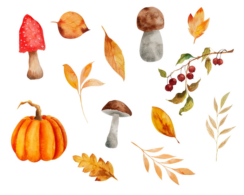 Fall Clipart Leaves Clipart Mushroom Pumpkin Berry Fall - Etsy