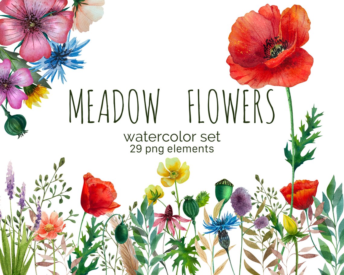 Wildflower Meadow Clipart Digital Summer Watercolor Botanical - Etsy