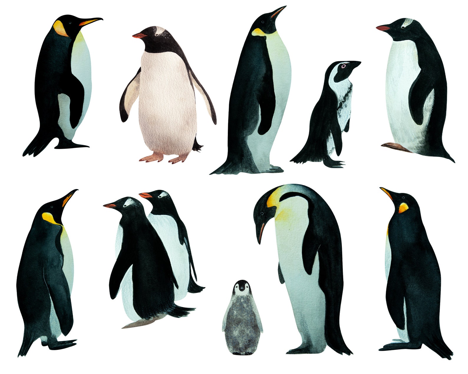 Penguin Clipart, Cute Penguin, Arctic Animals, Christmas Clipart ...