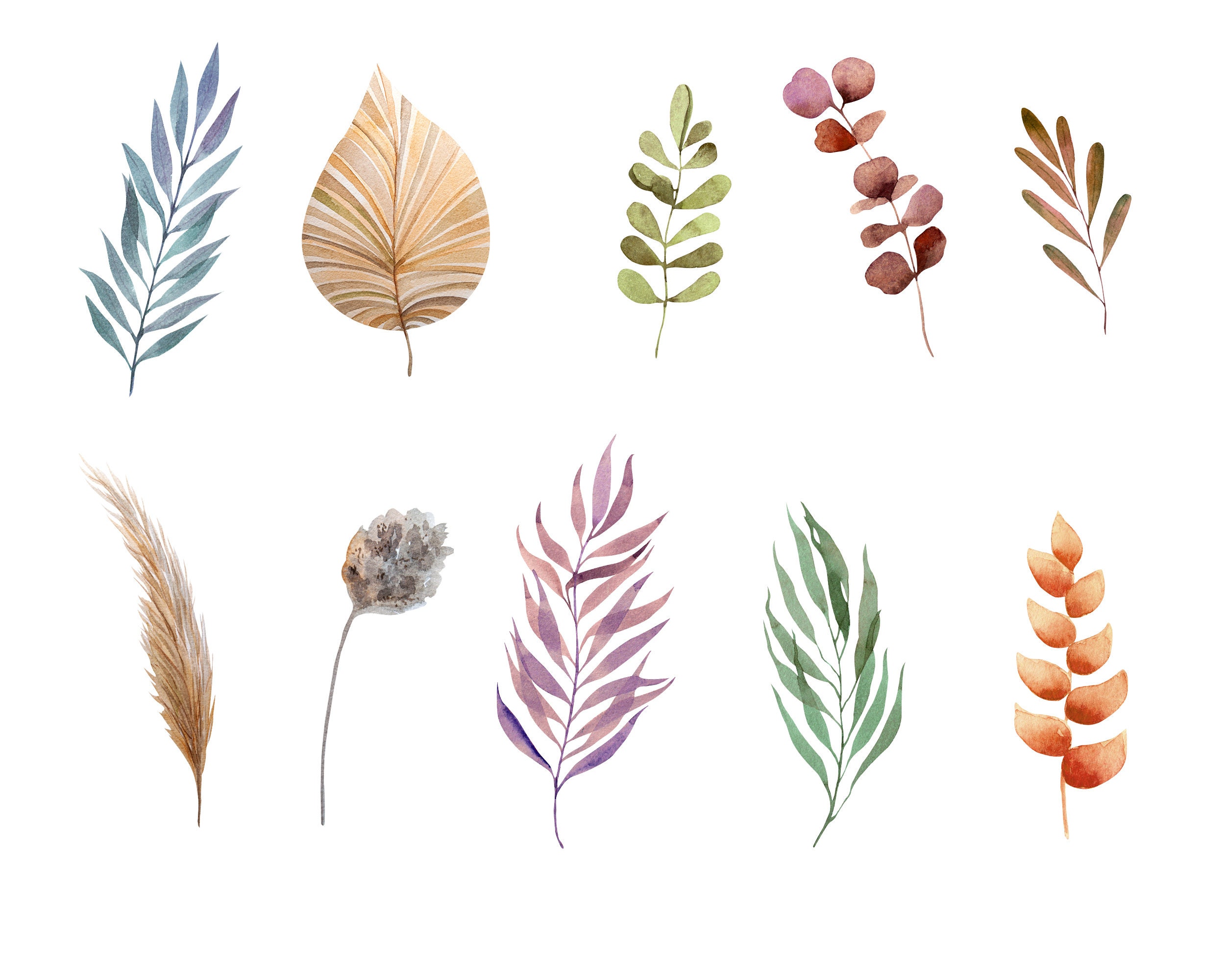 Boho Flowers Clipart, Dried Leaves and Flowers Illustration, Botanical ...