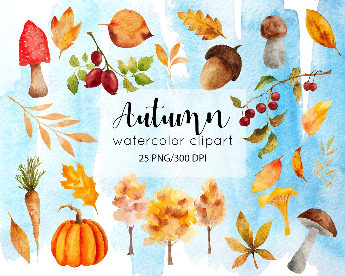 Watercolor Fall Clipart Leaves Clipart Mushroom Pumpkin - Etsy