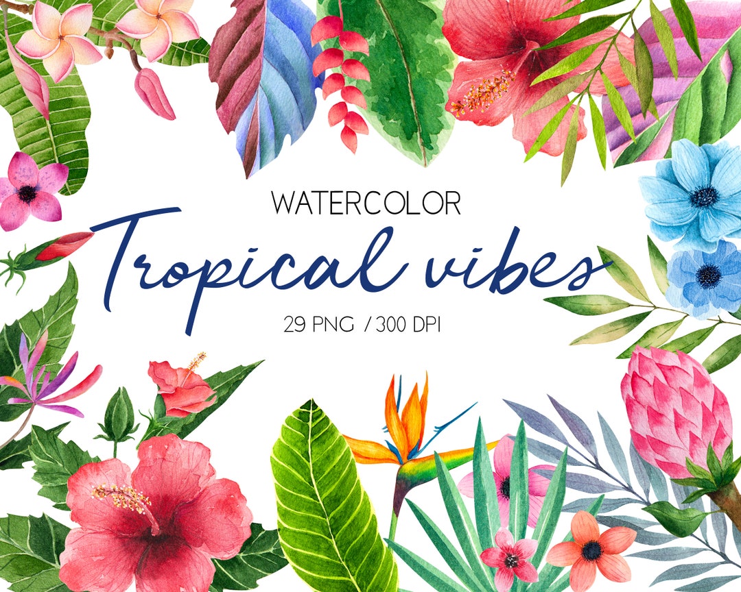 Tropical Flowers Clipart, Hibiscus Png, Greenery Clipart, Botanical ...