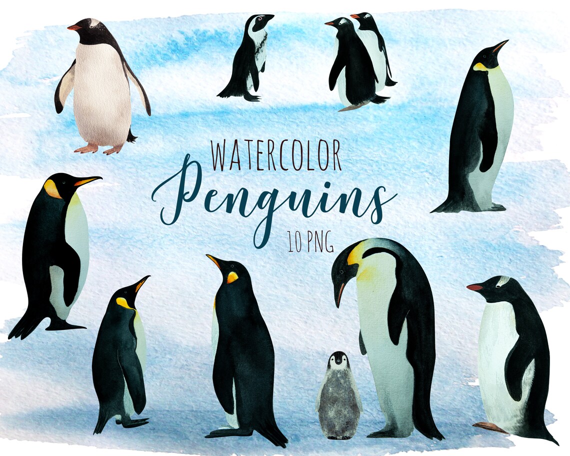 Penguin Clipart, Cute Penguin, Arctic Animals, Christmas Clipart ...