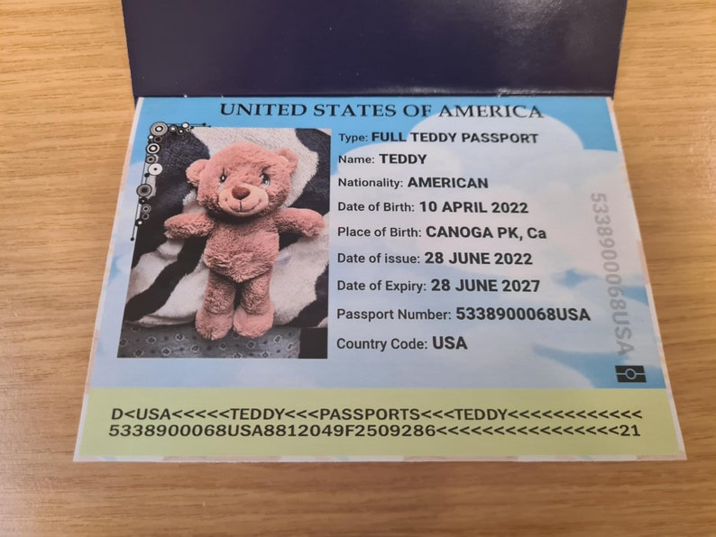 Personalised American Teddy Bear Passport: Custom Photo Travel ...