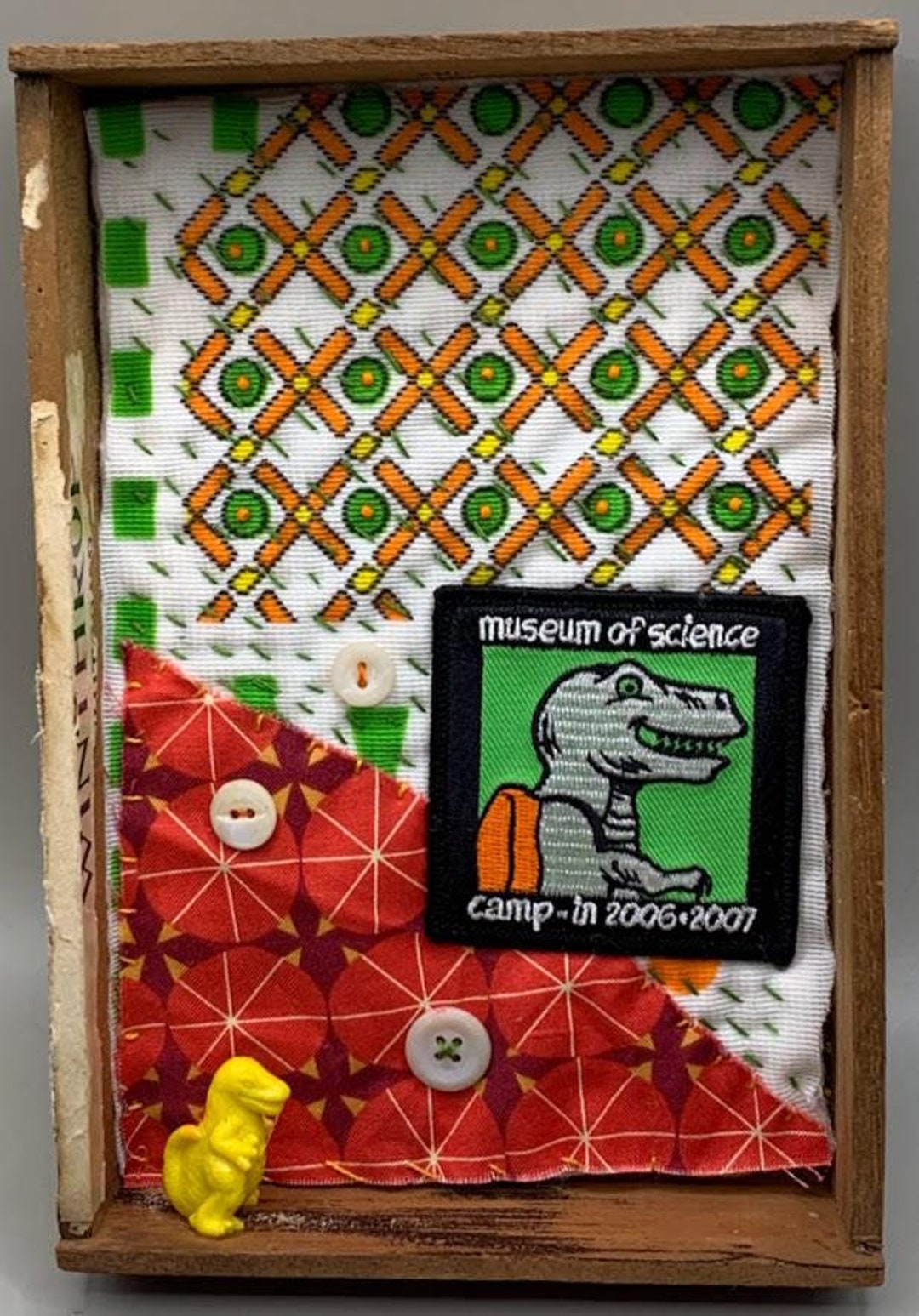 Museum of Science Dinosaur Fabric Collage - Etsy