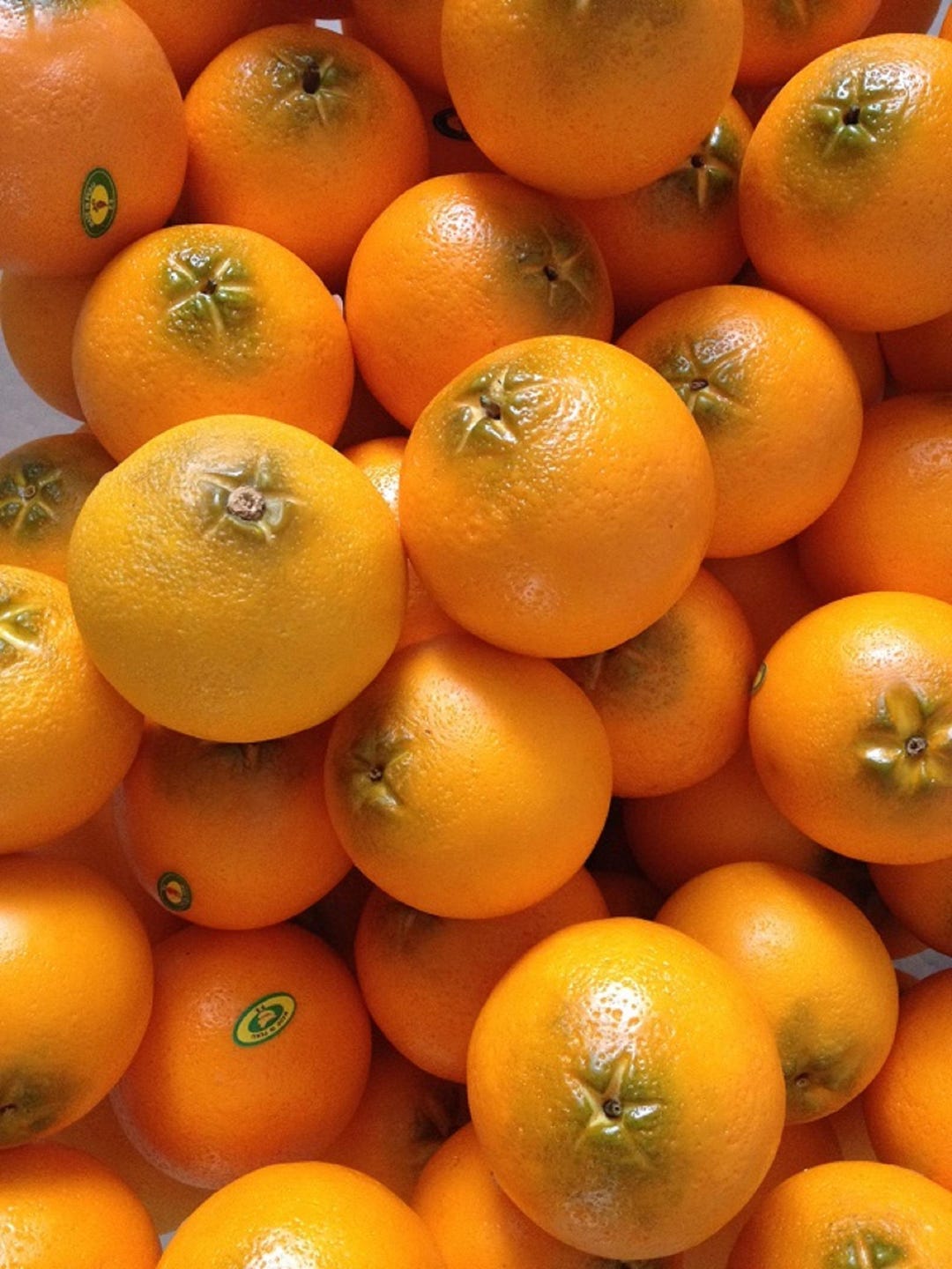 Artificial Oranges Set of 5 Faux Oranges Realistic Fruit Fake Oranges ...