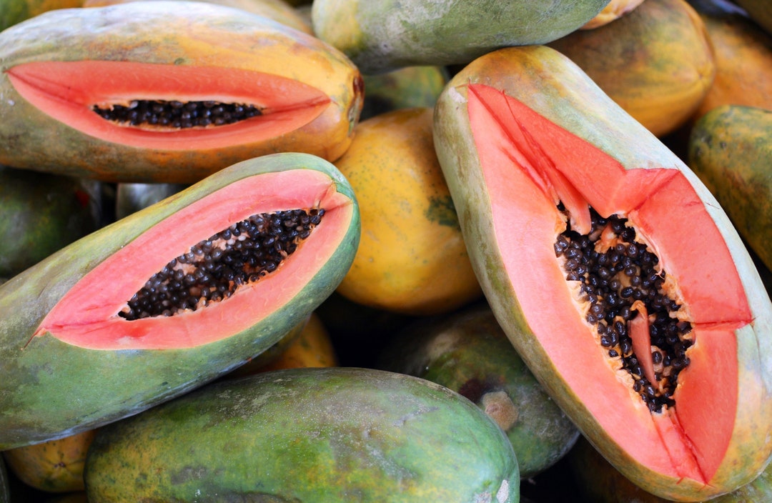 Red Papaya Seeds (10 Seeds per Pack) - Etsy