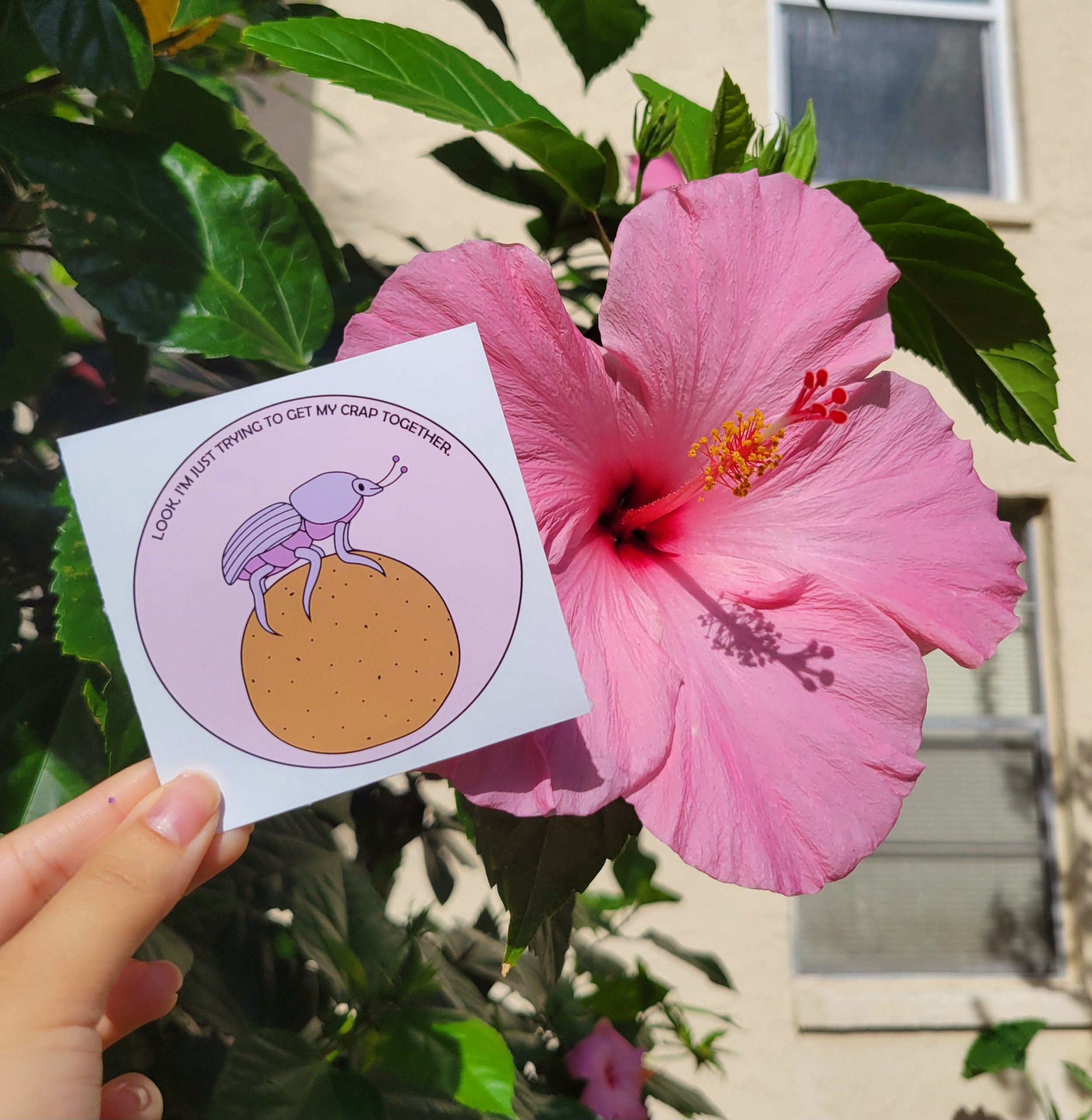 Look I'm Just Trying to Get My Crap Together Sticker, Dung Beetle ...