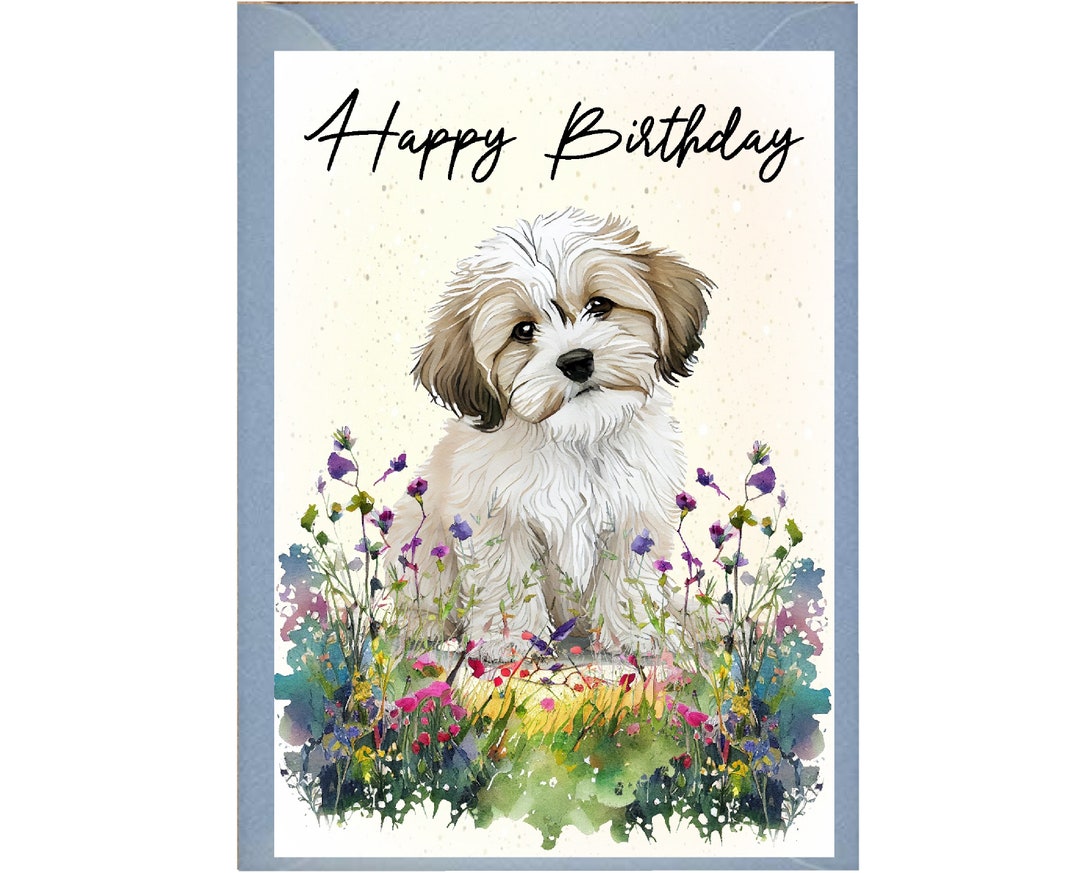 Maltese Dog Birthday Card /notelet (6"x 4") With Envelope - Ideal for ...