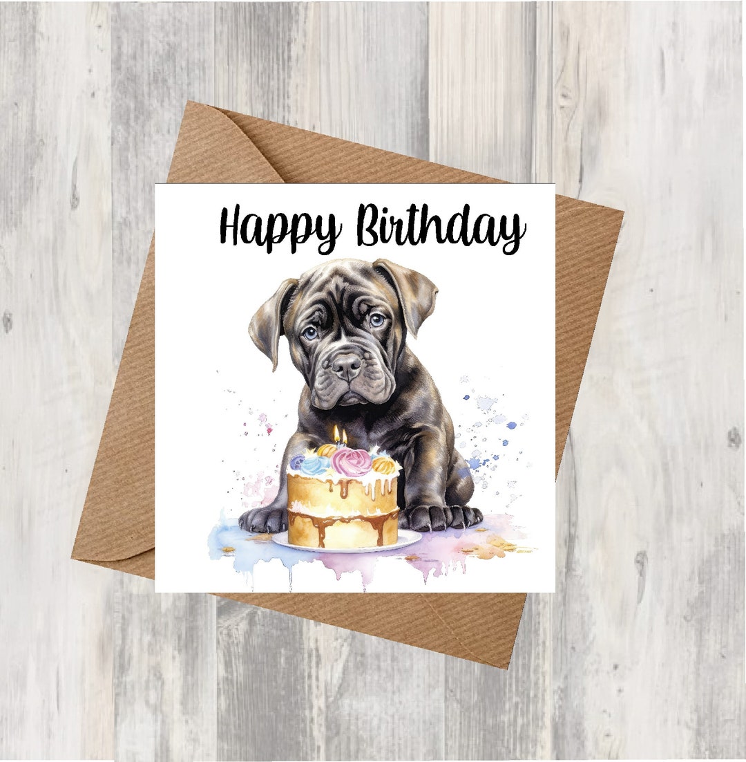 Cane Corso Dog 6"x 6" Birthday Card- Starprint Gifts and Designs. Space ...