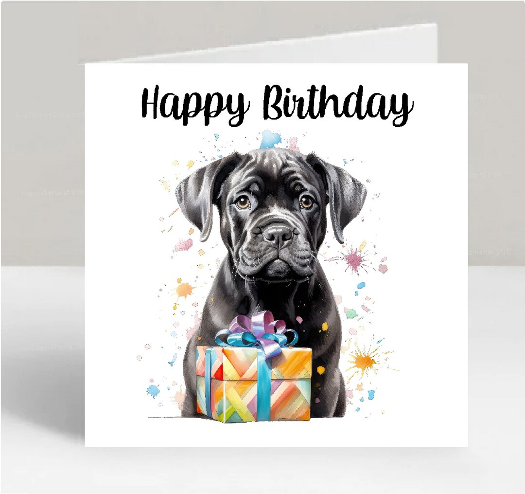 Cane Corso Dog 6x 6 Birthday Card Starprint Gifts and Designs. Space ...