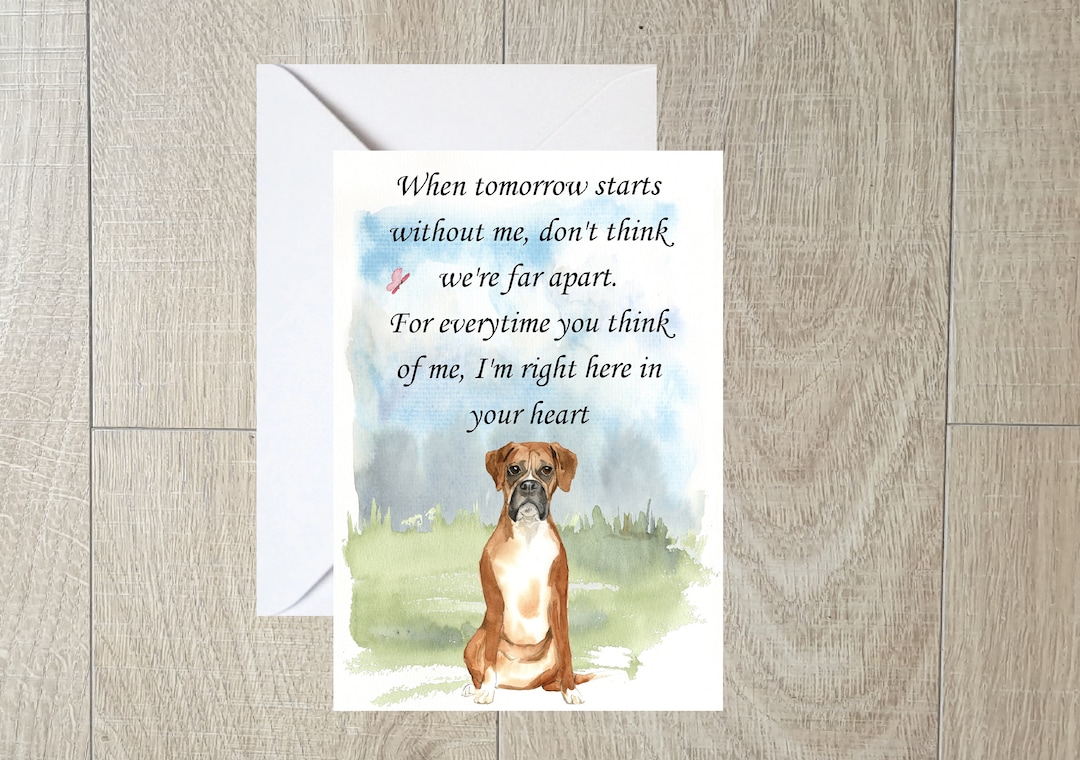 Boxer Dog A6 (4"x 6") Sympathy Card (blank Inside) by Starprint Gifts ...