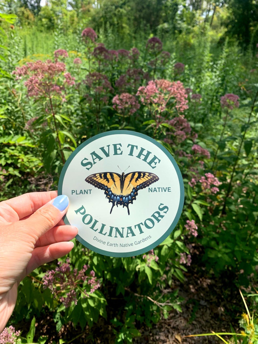 Save the Pollinators Magnet: Native Plant Bumper Sticker - Etsy