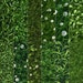 Green Grass Texture Digital Paper: Seamless Nature Pattern (digital ...