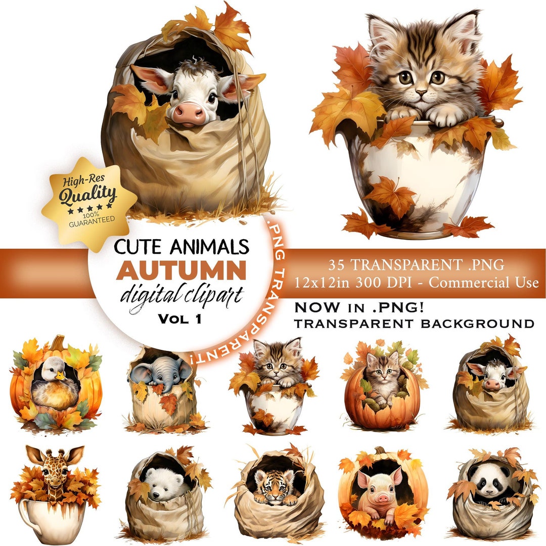 Autumn Animals Clipart: 35 PNG Images, Thanksgiving Ephemera (digital ...
