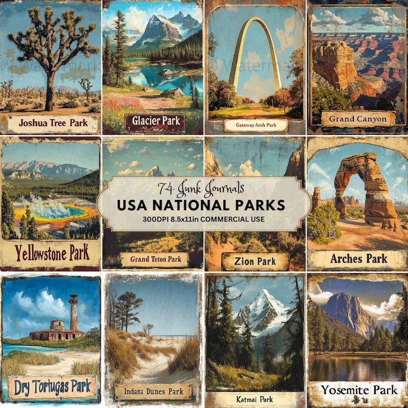 National Park Postcard - Etsy