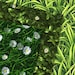 Green Grass Texture Digital Paper: Seamless Nature Pattern (digital ...
