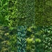 Green Grass Texture Digital Paper: Seamless Nature Pattern (digital ...