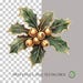 Gold Christmas Clipart: Xmas Watercolor PNG Clip Art (digital Download ...