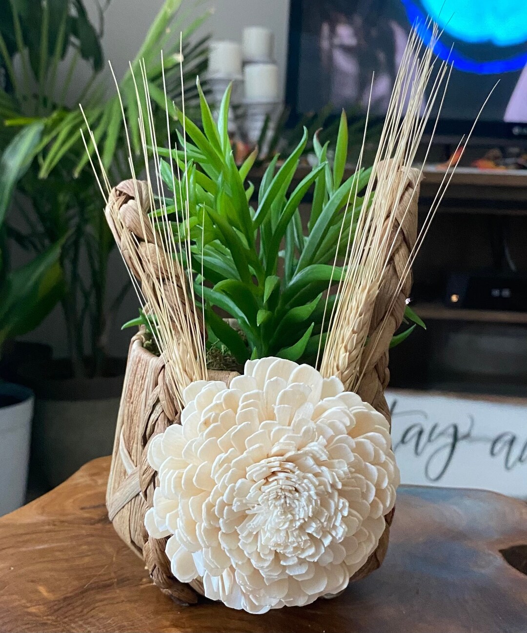 Farmhouse Succulent - Etsy