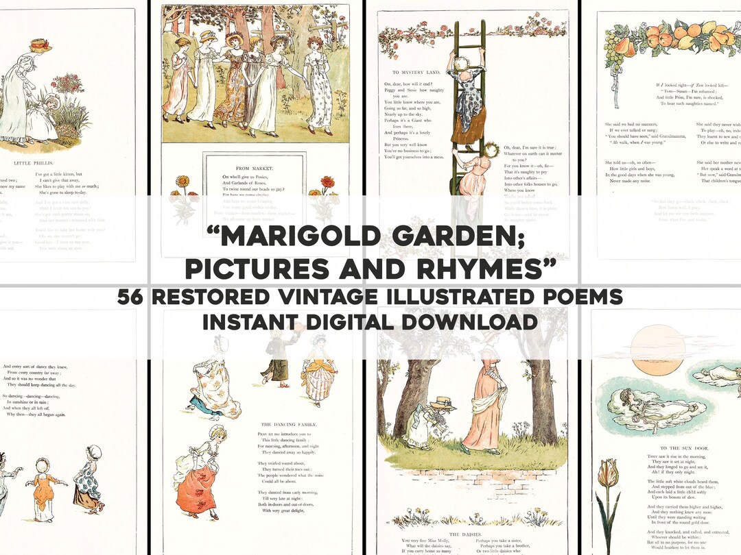 Marigold Garden Book Illustration Pages | 56 HQ Restored Images ...