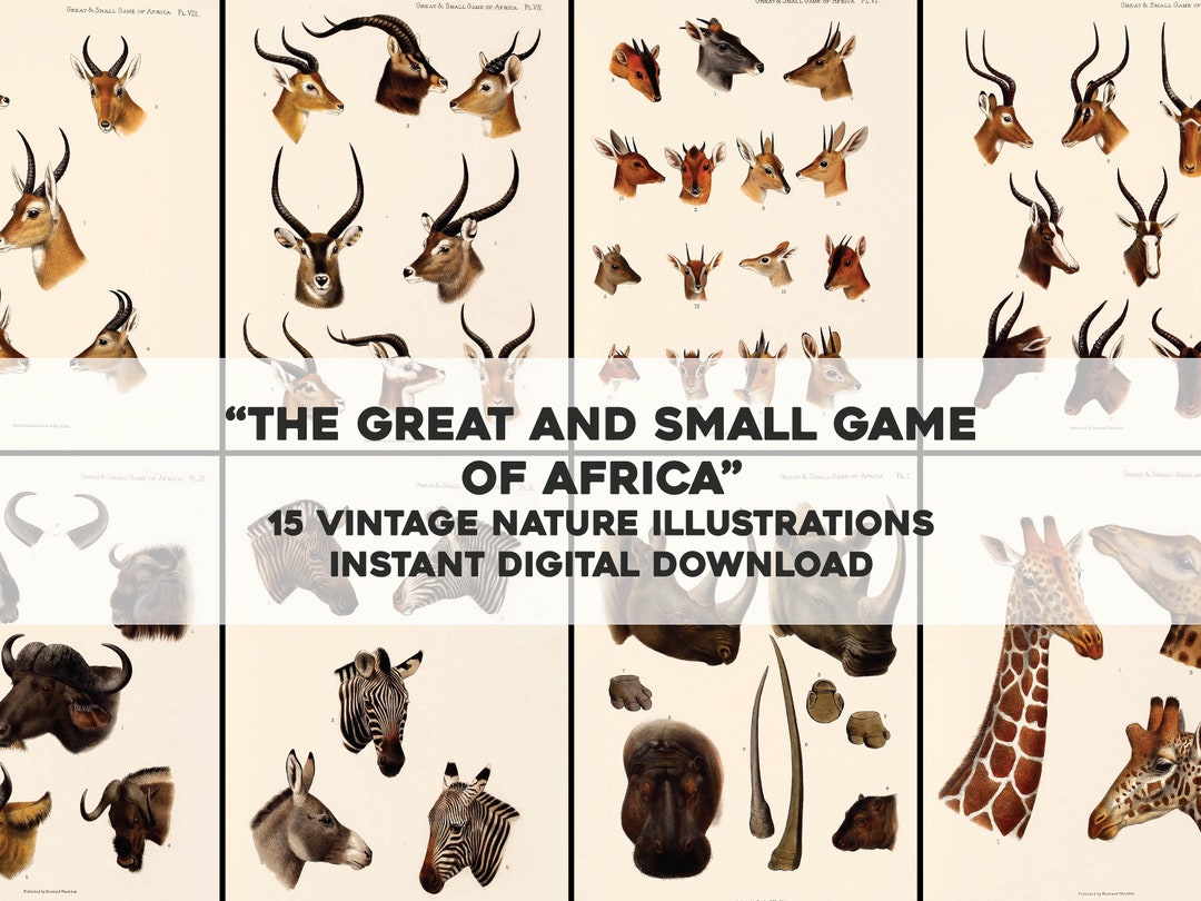 15 Restored Images of Small and Large African Game Animals | Image ...