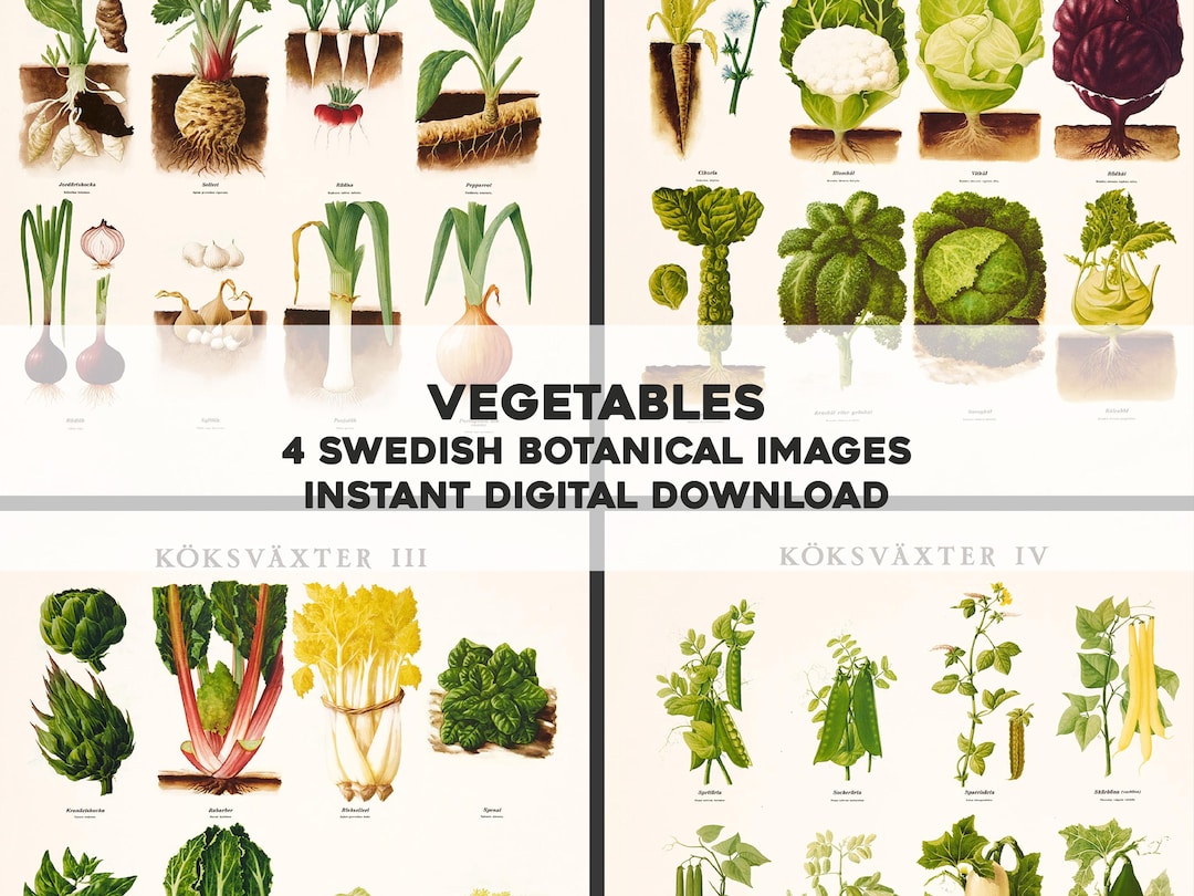 4 Swedish Vegetable Charts | HQ Vintage Craft Image Bundle | Instant ...