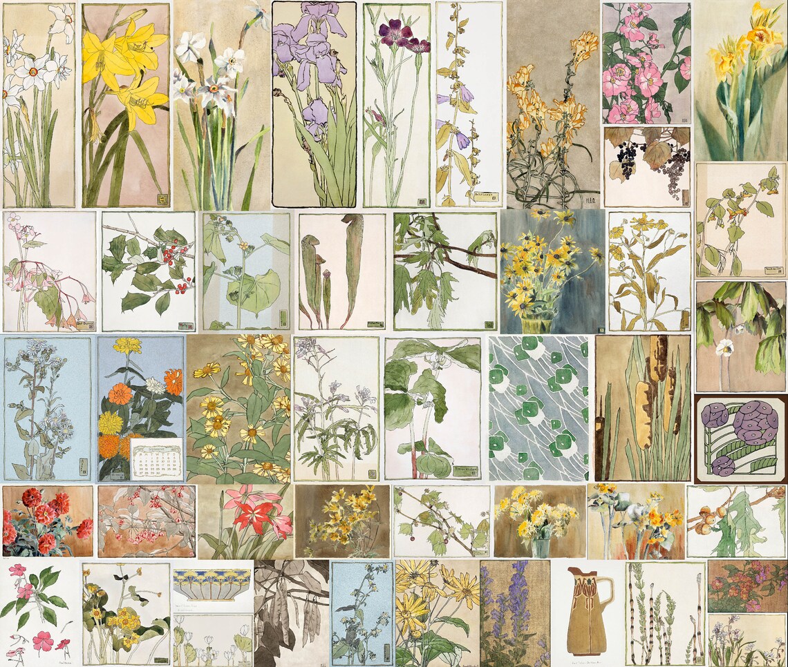 Hannah Overbeck Botanical Art Nouveau Printable Wall Art - Etsy