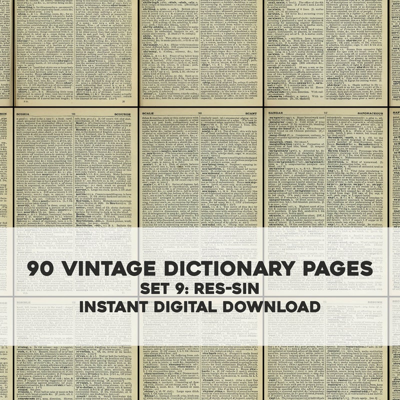 Cat Picture Dictionary - Etsy UK