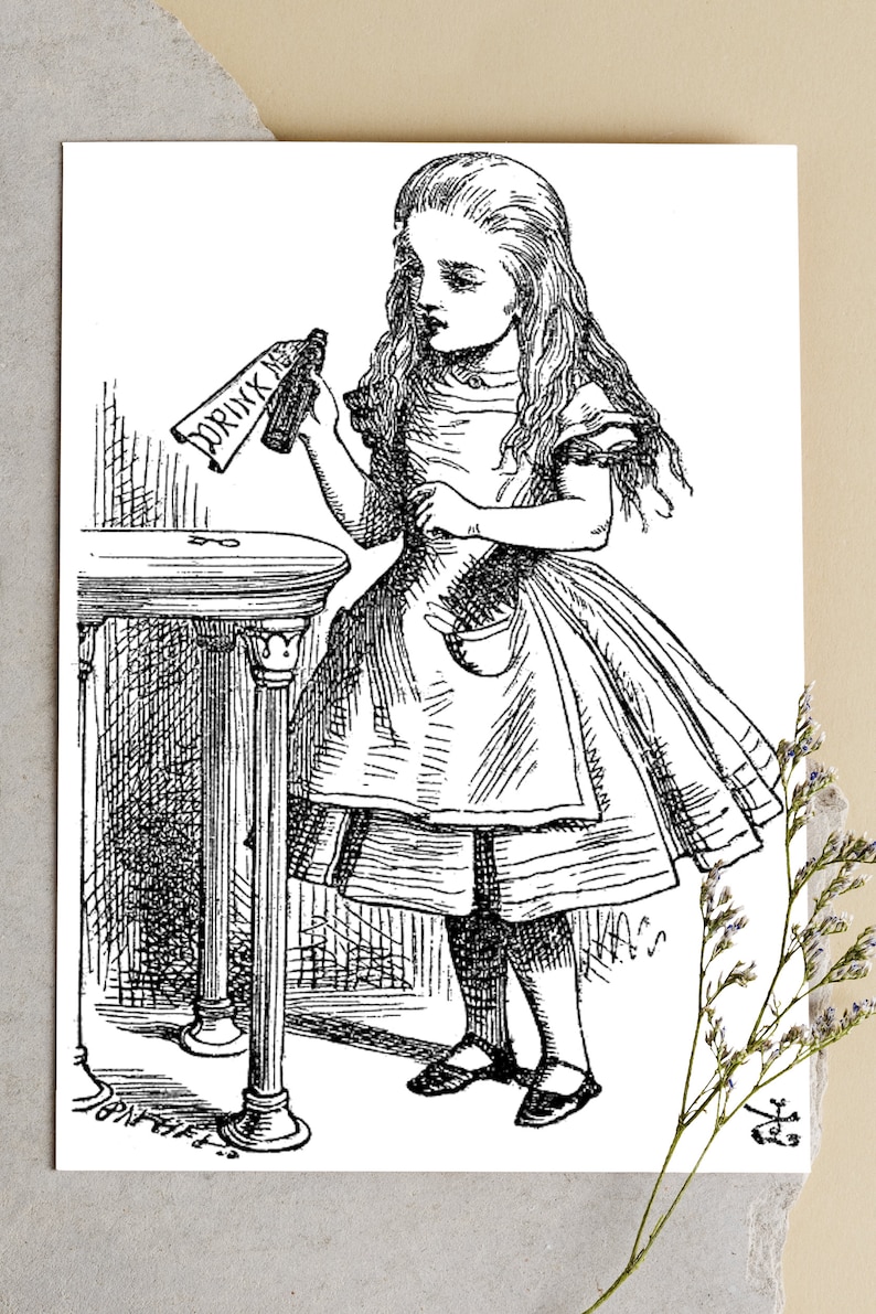 Complete Alice in Wonderland Book Illustration Plates Printable Wall ...
